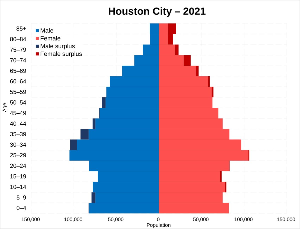 The Cultural Diversity of Houston: A Global Melting Pot